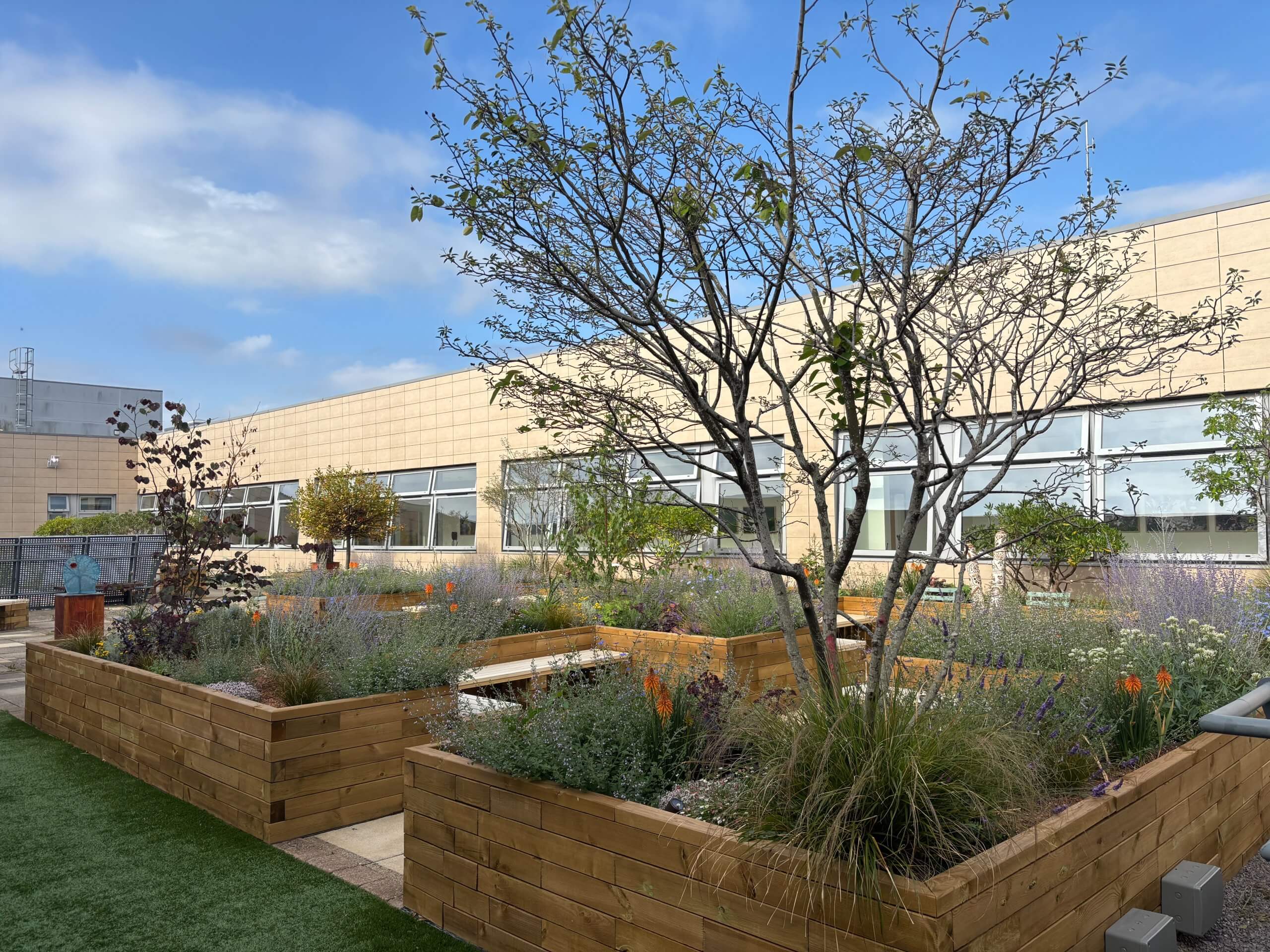 The Jane Ashley Roof Garden - Edit Landscape Design